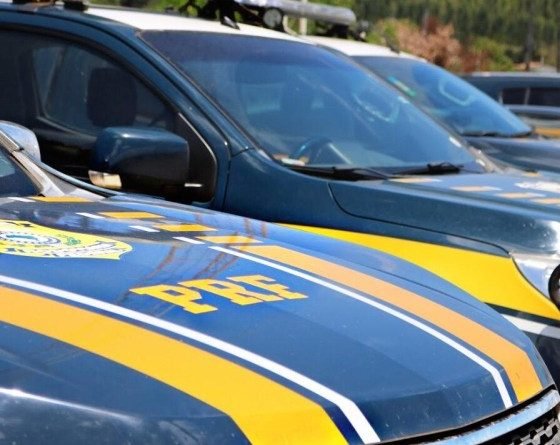 Prf E Polícia Civil Desarticulam Organização Criminosa Especializada No